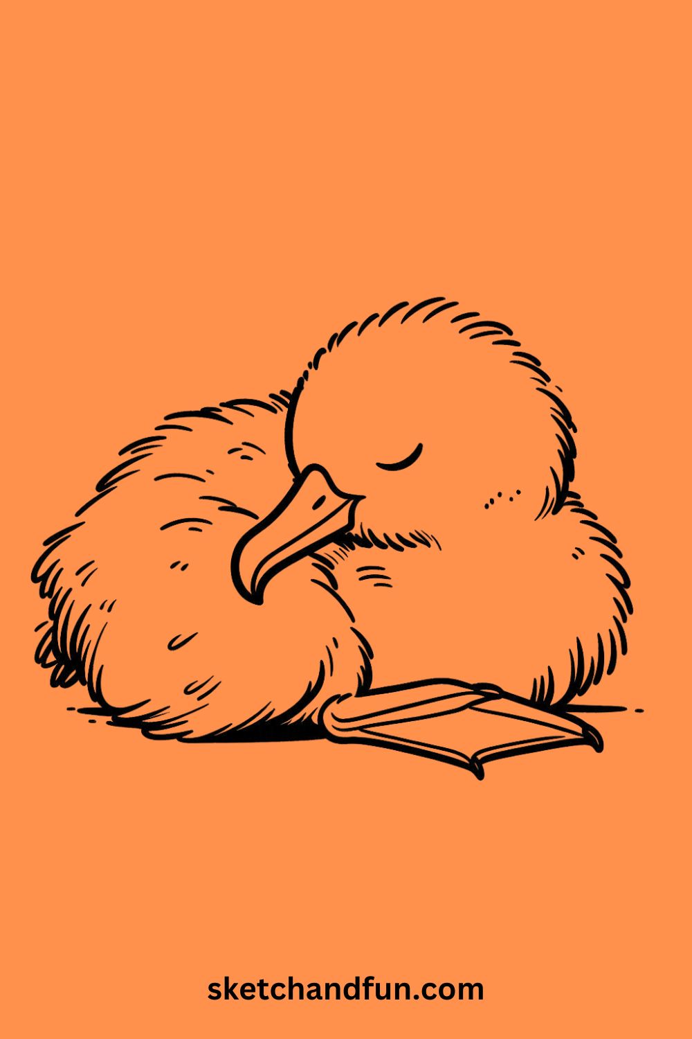 39+ Easy Cute Albatross Drawing Ideas - Sketch and Fun