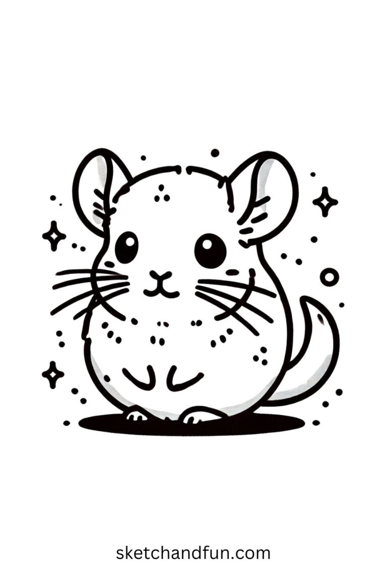 40+ Easy Cute Chinchilla Drawing Ideas - Sketch and Fun