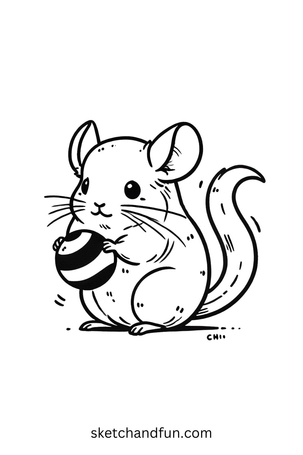 40+ Easy Cute Chinchilla Drawing Ideas - Sketch and Fun