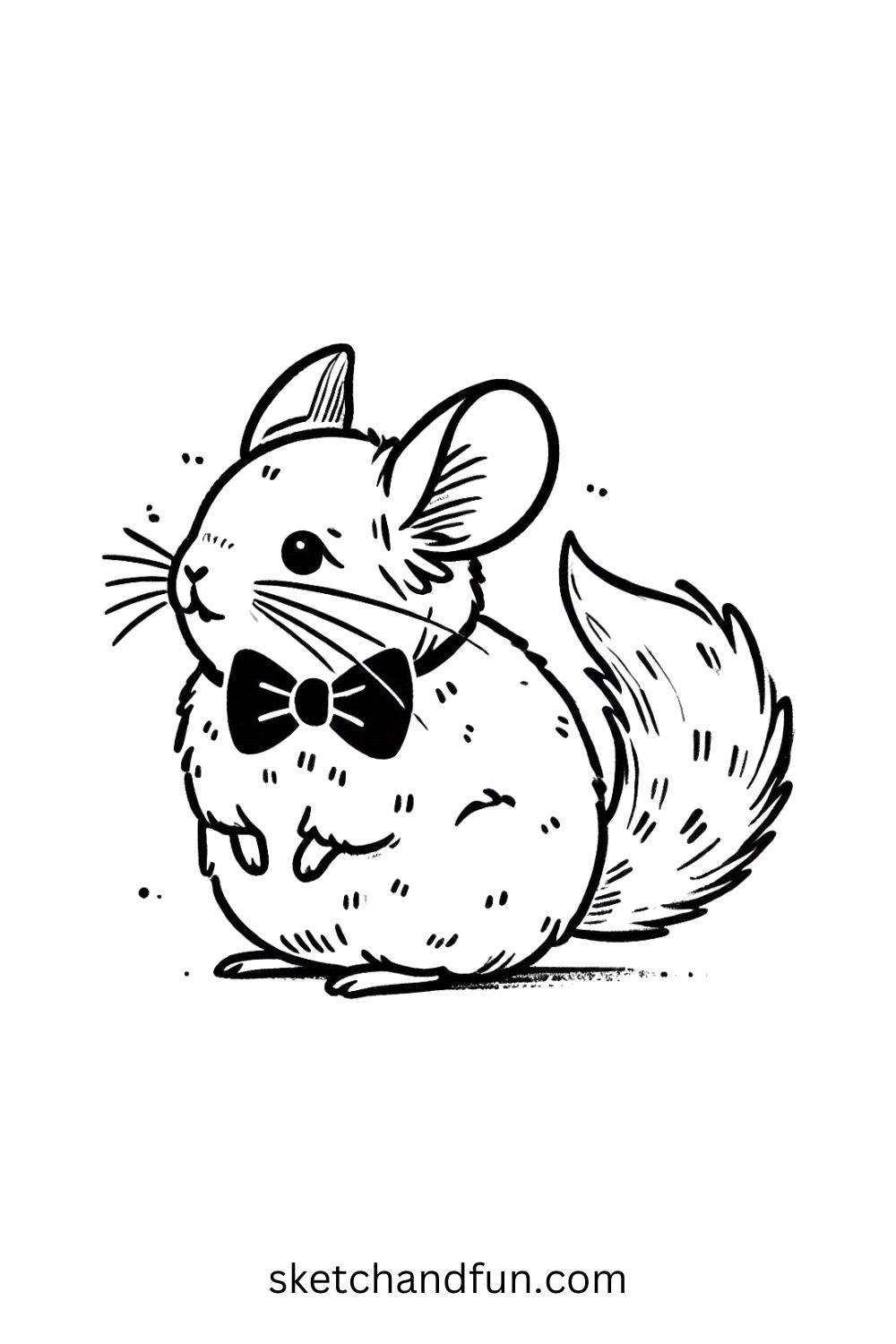 40+ Easy Cute Chinchilla Drawing Ideas - Sketch and Fun