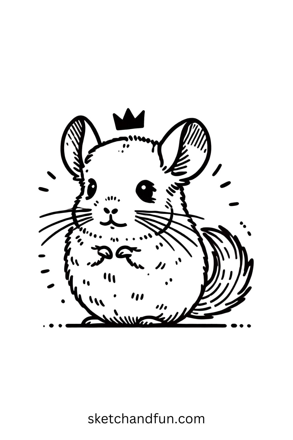 40+ Easy Cute Chinchilla Drawing Ideas - Sketch and Fun