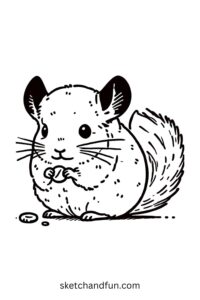 40+ Easy Cute Chinchilla Drawing Ideas - Sketch and Fun