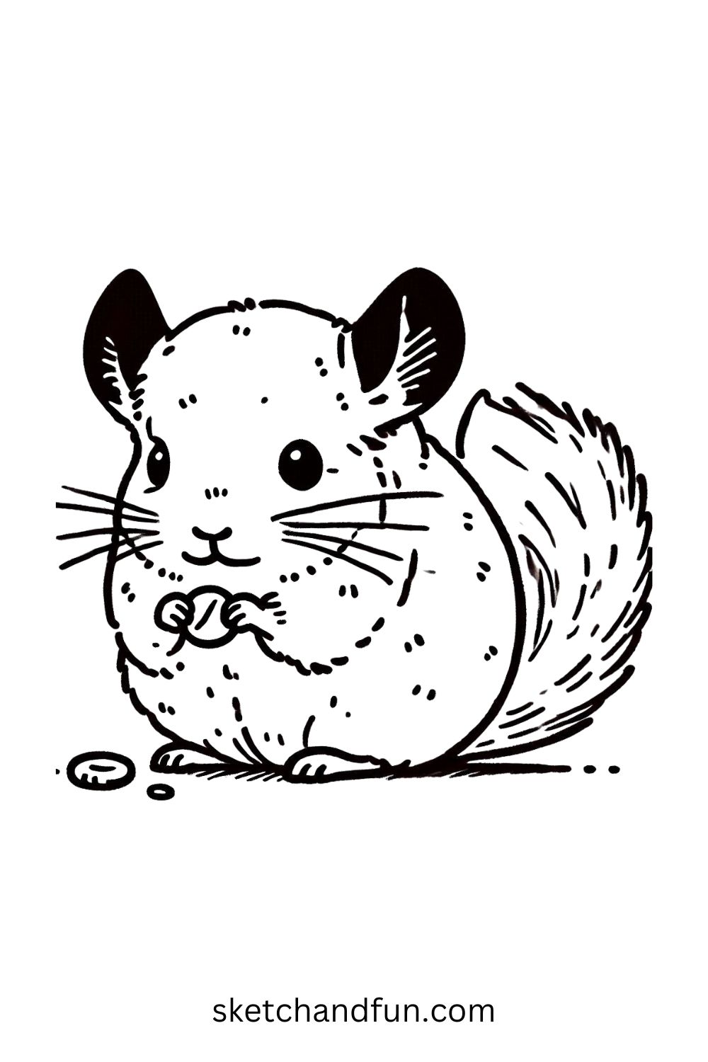 40+ Easy Cute Chinchilla Drawing Ideas - Sketch and Fun