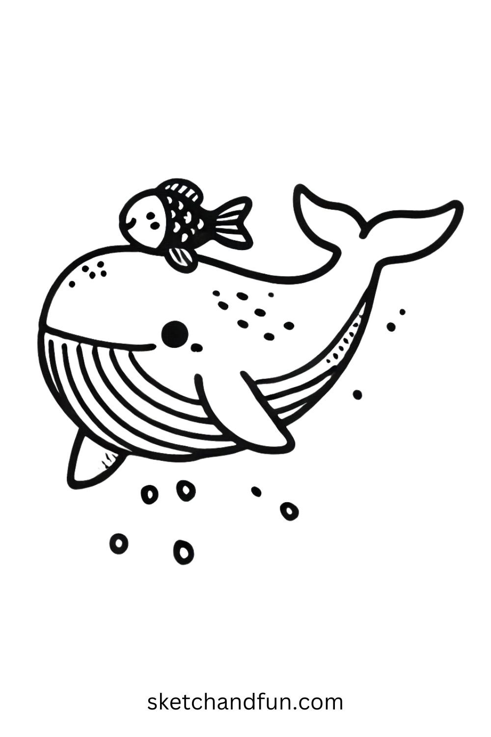 40+ Easy Cute Whale Drawing Ideas - Sketch and Fun