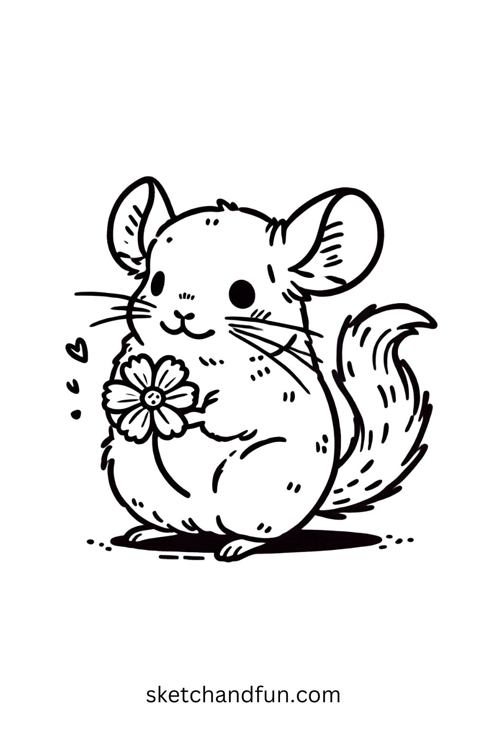 40+ Easy Cute Chinchilla Drawing Ideas - Sketch and Fun