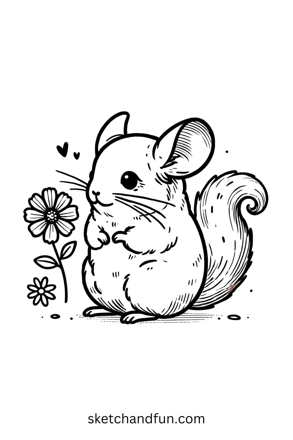 40+ Easy Cute Chinchilla Drawing Ideas - Sketch and Fun