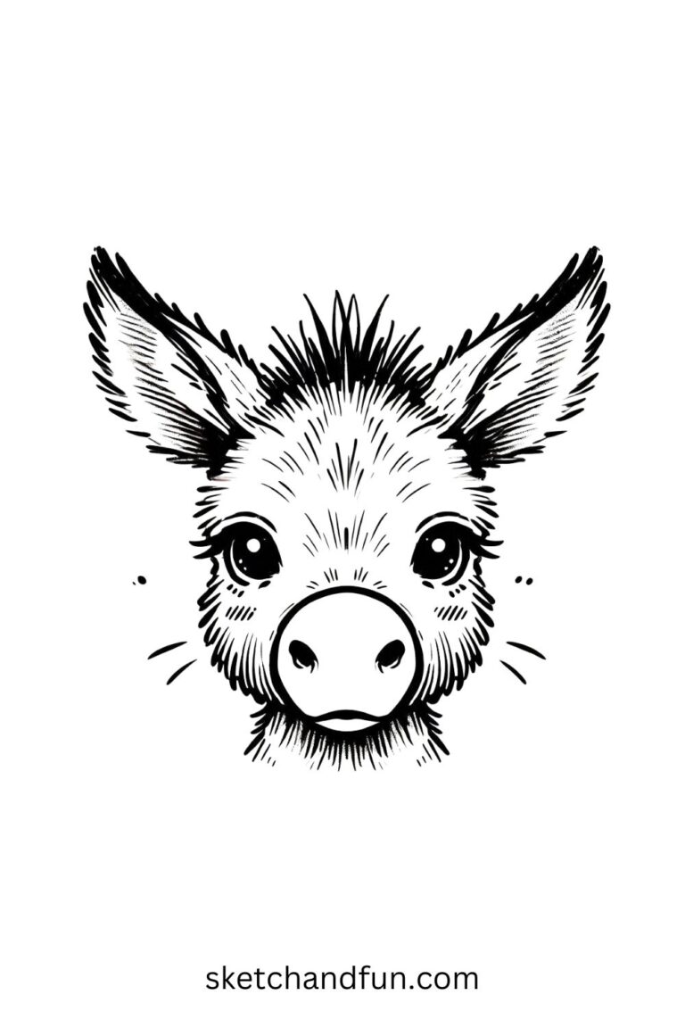 49+ Easy Cute Donkey Drawing Ideas - Sketch and Fun