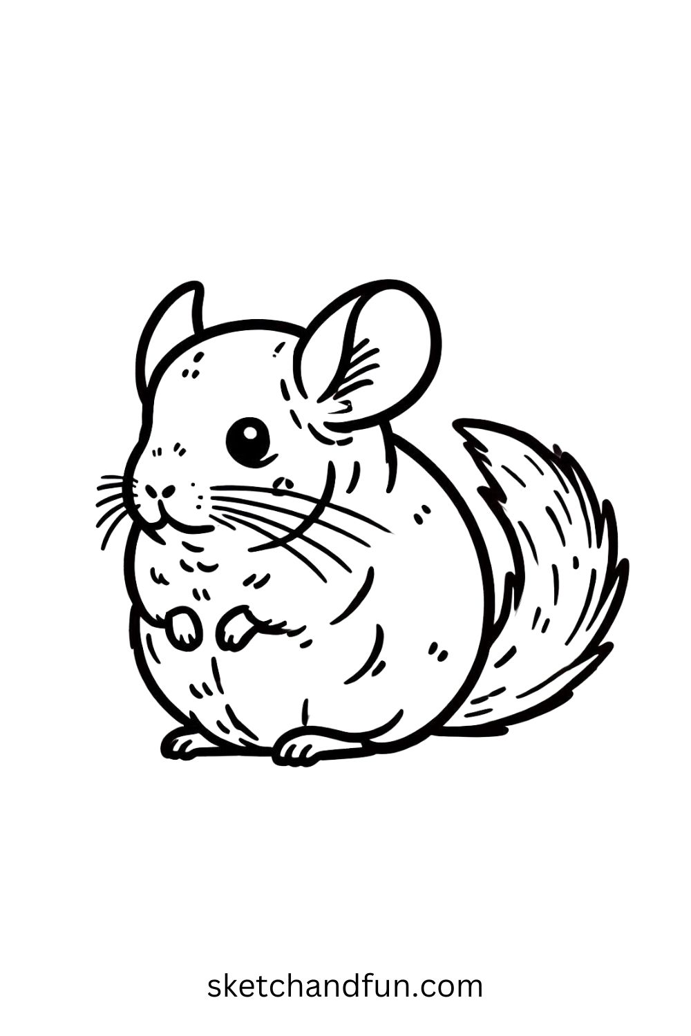 40+ Easy Cute Chinchilla Drawing Ideas - Sketch and Fun