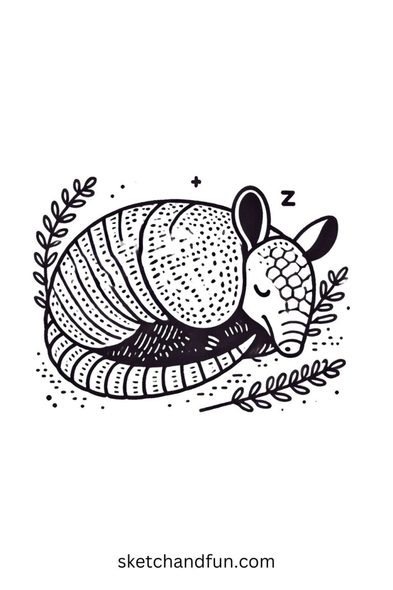 39+ Easy Cute Armadillo Drawing Ideas - Sketch and Fun