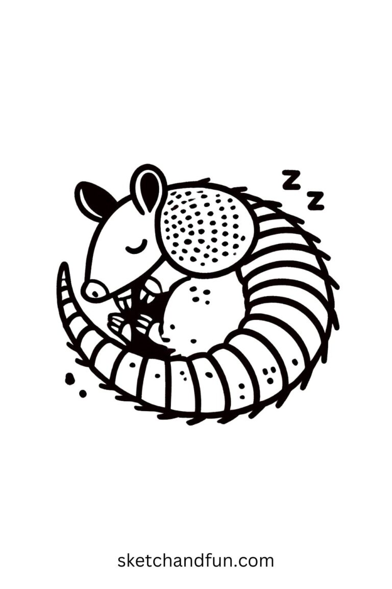 39+ Easy Cute Armadillo Drawing Ideas - Sketch and Fun