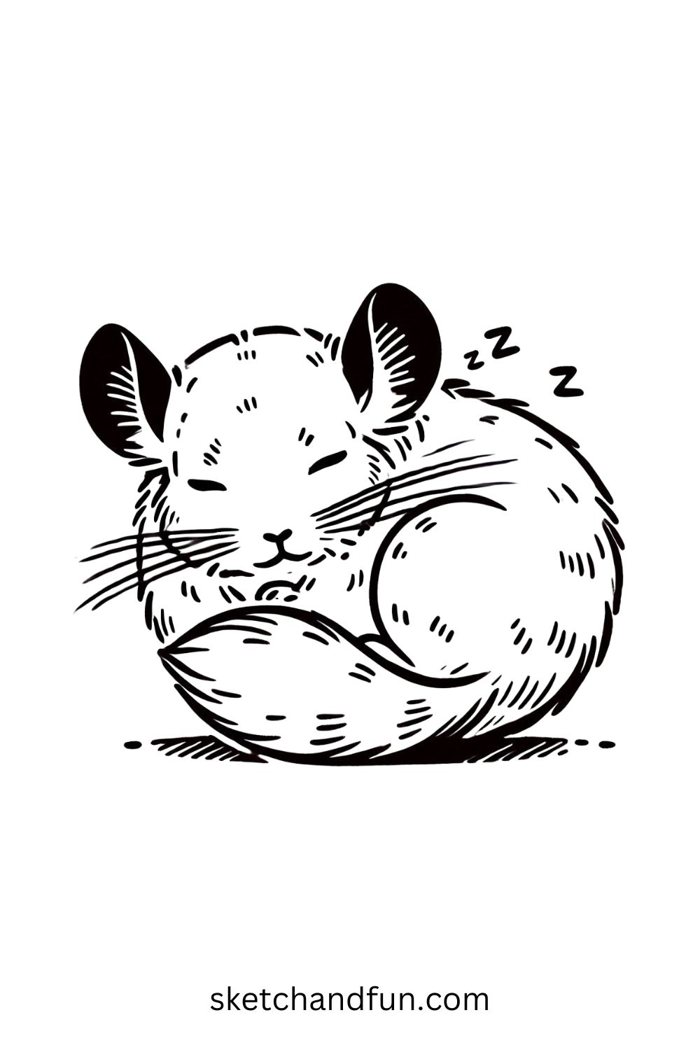 40+ Easy Cute Chinchilla Drawing Ideas - Sketch and Fun