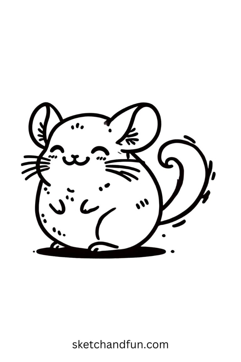 40+ Easy Cute Chinchilla Drawing Ideas - Sketch and Fun